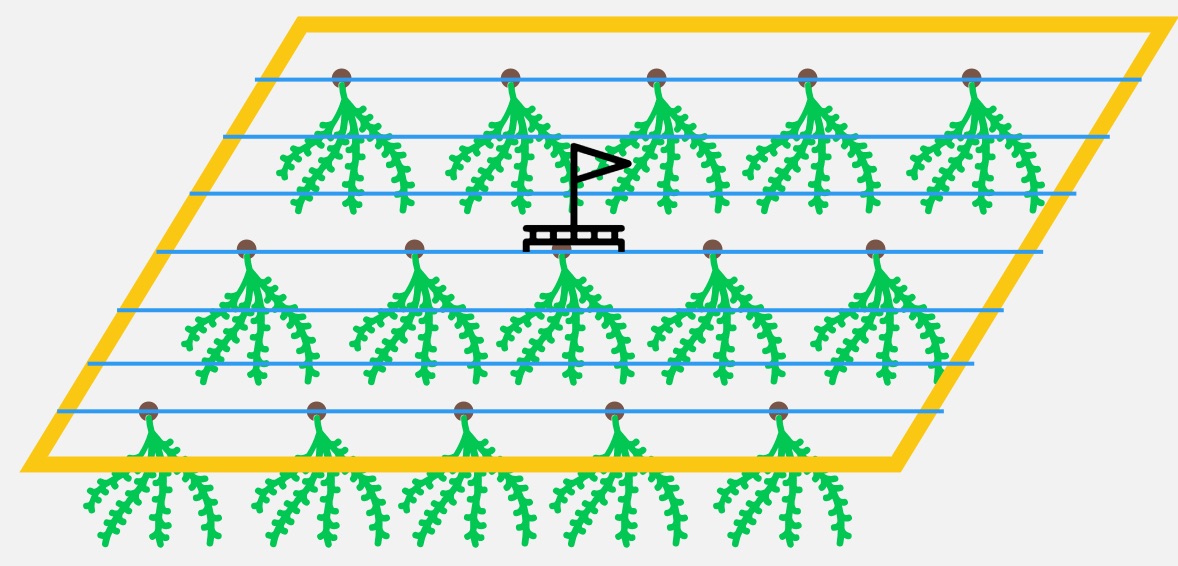 Fiora Mara – We Revitalize Oceans